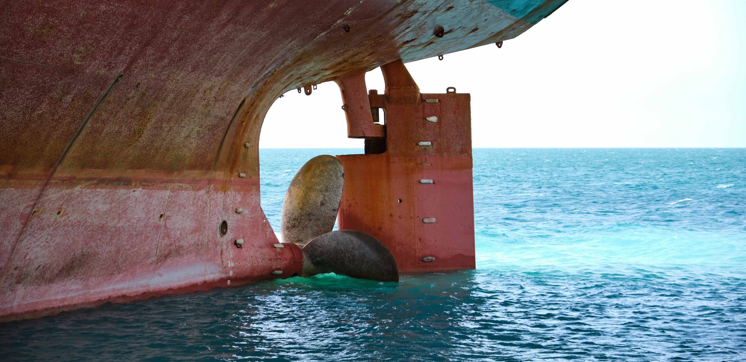 The True Effects of Niche Area Fouling (& How to Solve Them) - Selektope